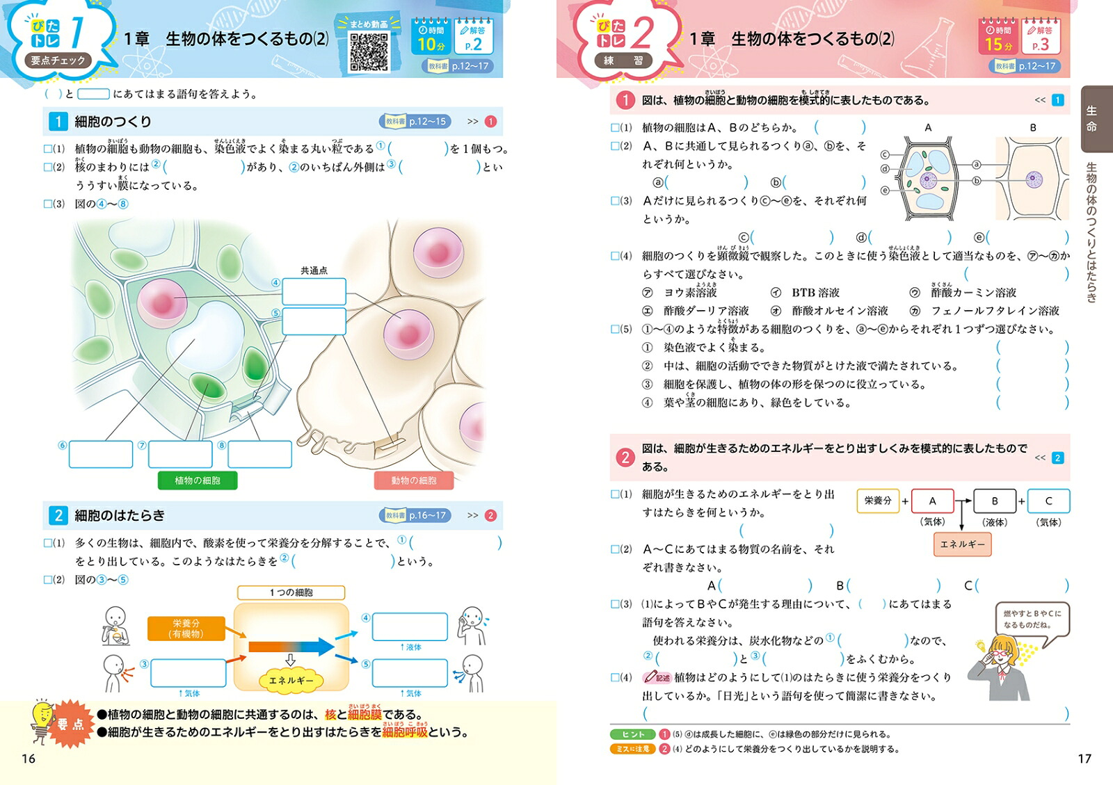 楽天ブックス 中学 教科書ぴったりトレーニング 理科2年 啓林館版(教科書完全対応、オールカラー、学習ツール6定期テスト予想問題赤シート
